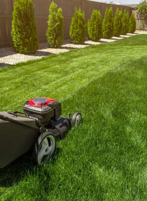Country Sun Lawn Care